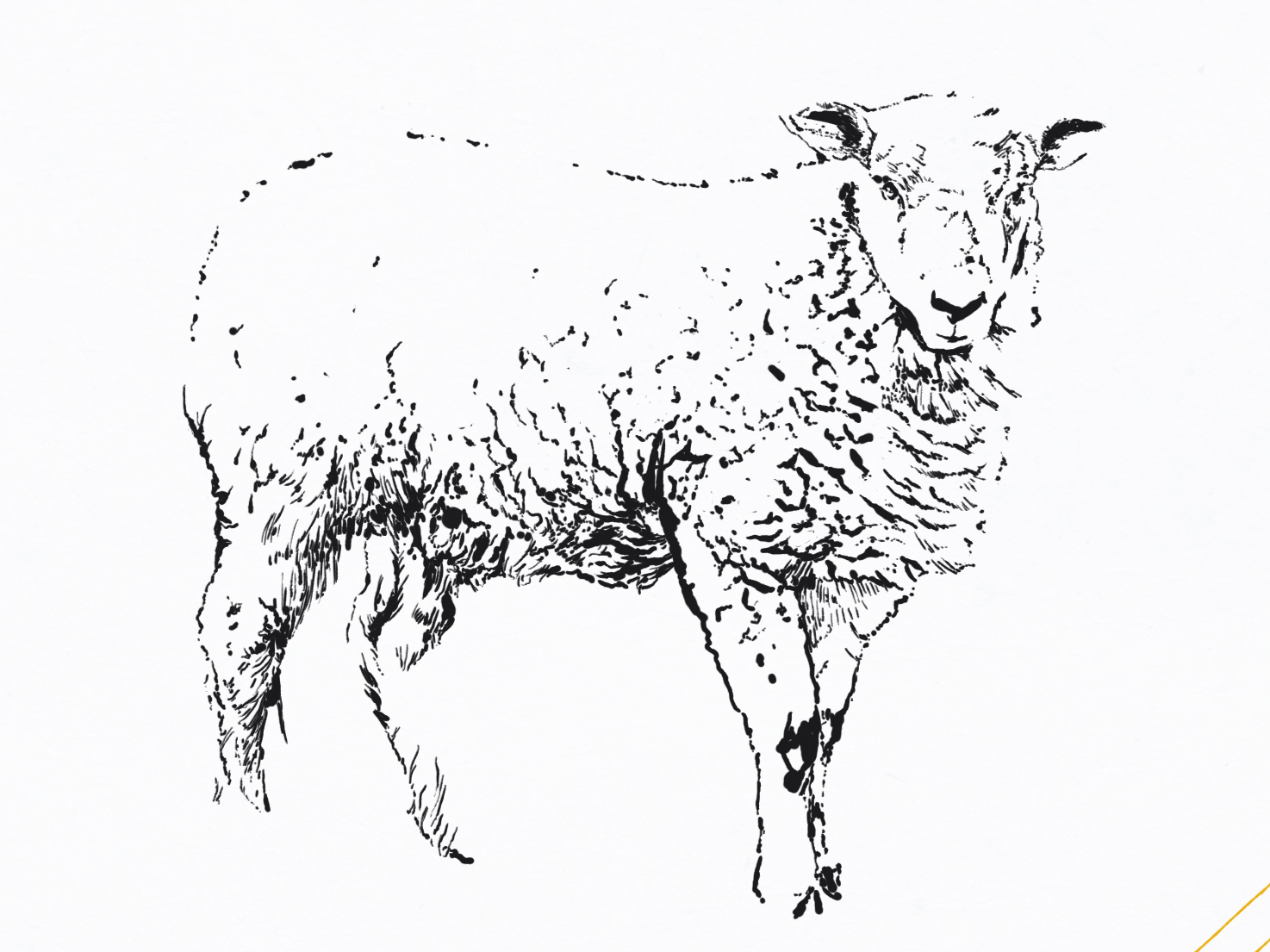 Song Premiere: San Fermin & Sam Amidon, 'Shiver' | NCPR News