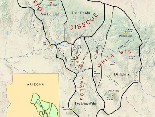 'Going Green' Is Really 'Going Native': Western Apache Chef Nephi Craig ...