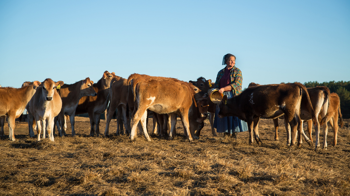 All-Natural But Still 'Imitation'? The Strange Case Of The Skim Milk ...