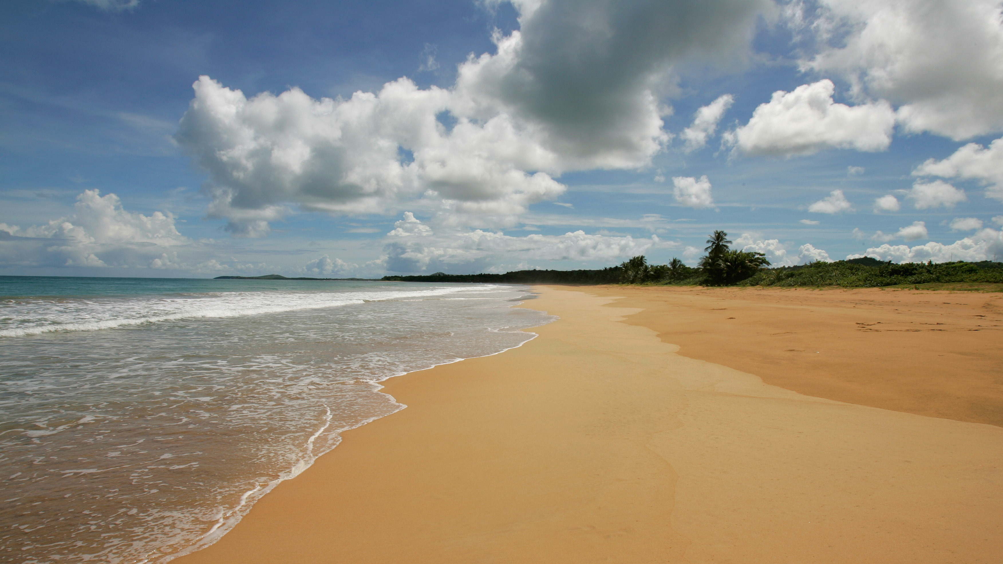 Grass-Roots Fight To Protect Puerto Rico's Coast Scores Environmental ...