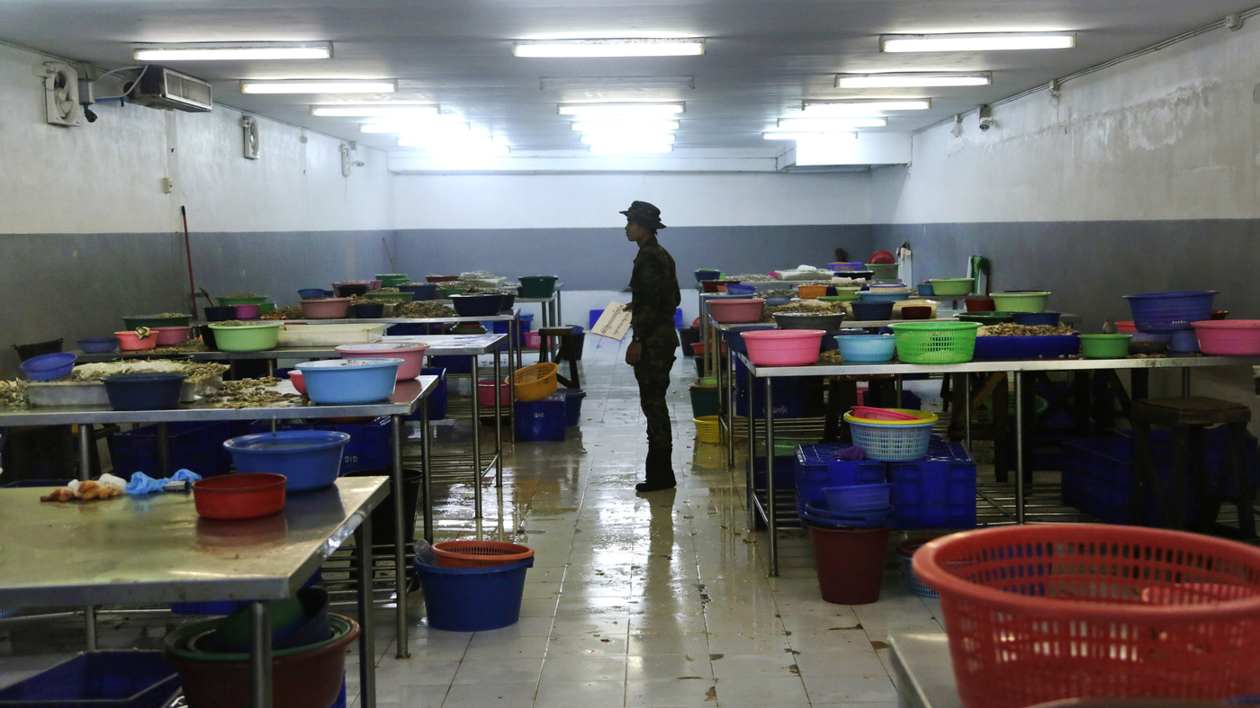 Pulitzer Prize Winners: AP Gets Public Service Prize For Story About ...