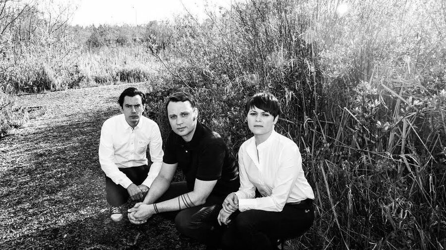 Dust Moth - Alchetron, The Free Social Encyclopedia