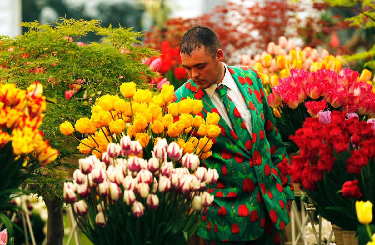 Photos: London's Chelsea Flower Show Hopes You'll Get In The Garden ...