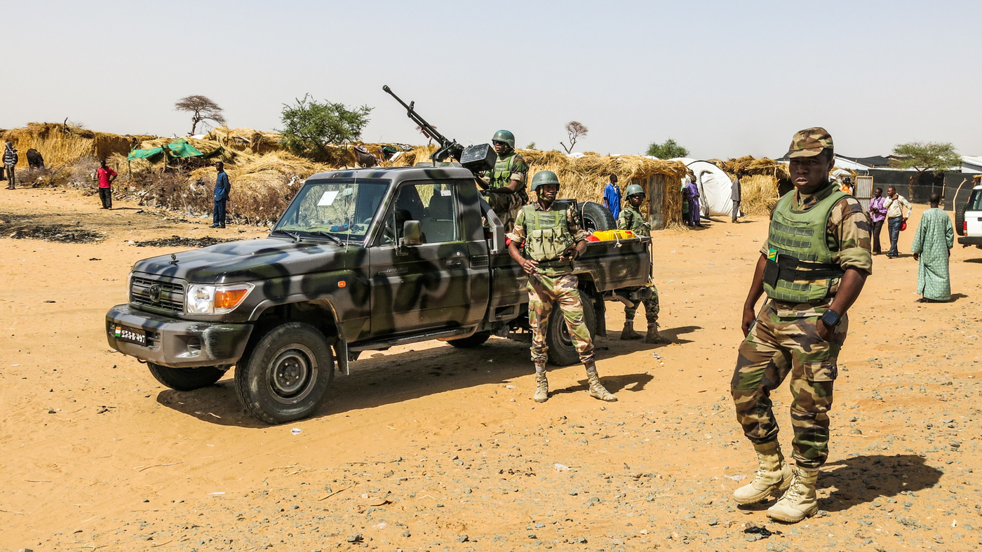 Niger Faces Catastrophic Humanitarian Situation, President Says : Goats ...