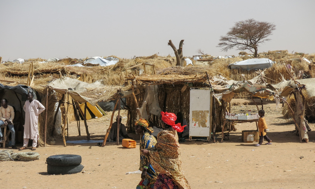 Niger Faces Catastrophic Humanitarian Situation, President Says : Goats ...