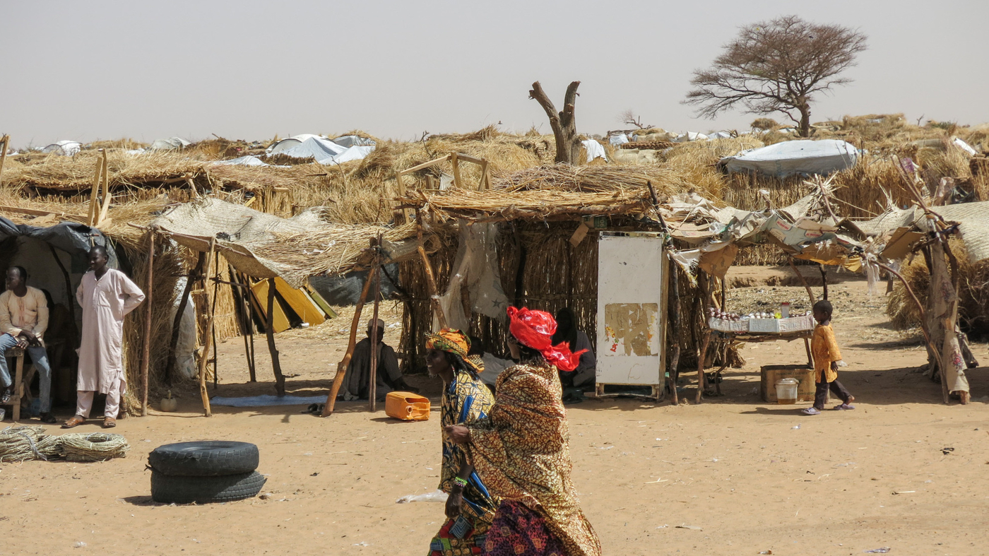 Niger Faces Catastrophic Humanitarian Situation, President Says : Goats ...