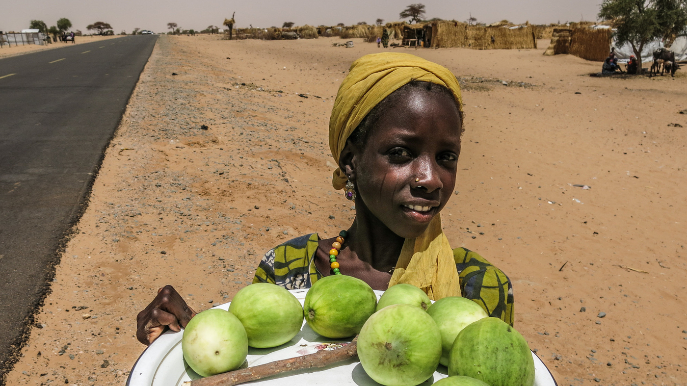 Niger Faces Catastrophic Humanitarian Situation, President Says : Goats ...