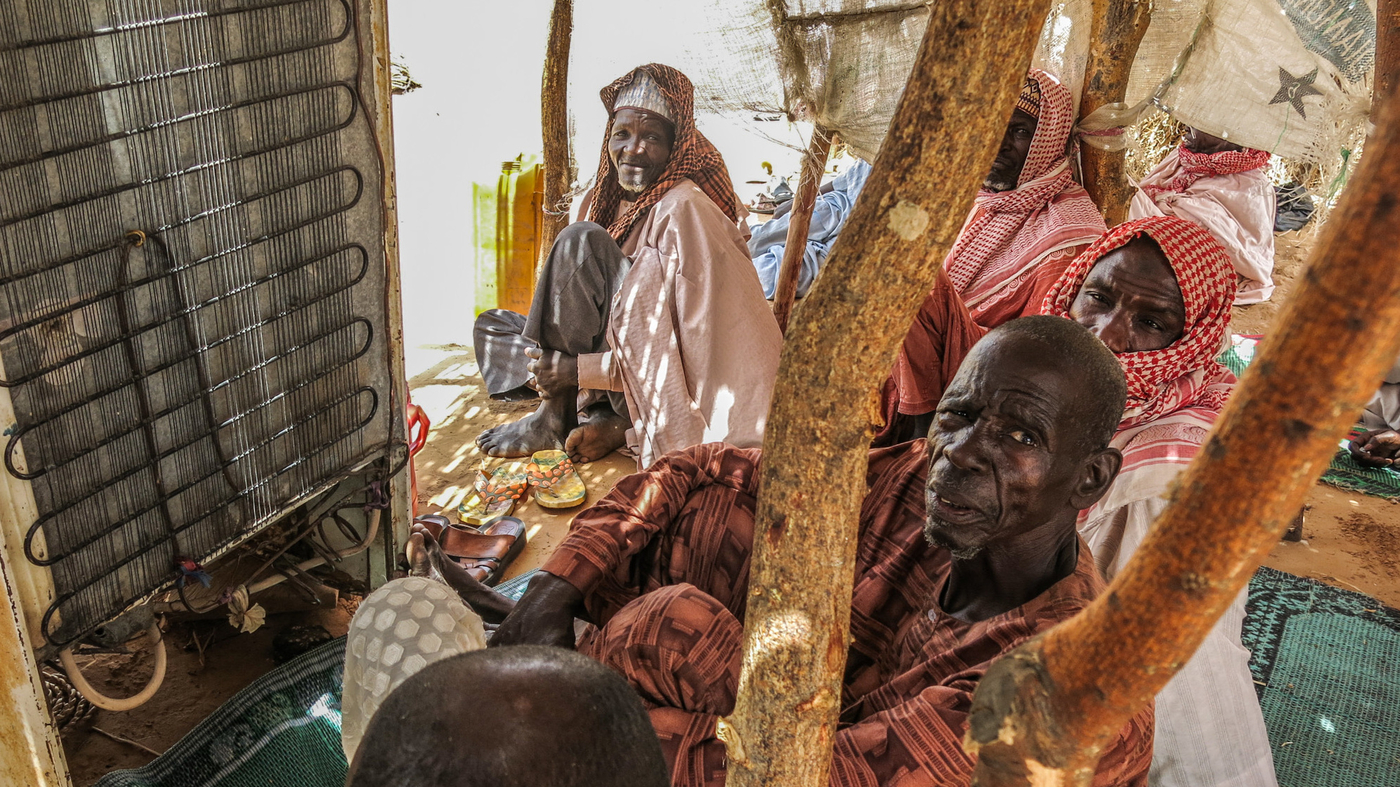 Niger Faces Catastrophic Humanitarian Situation, President Says : Goats ...