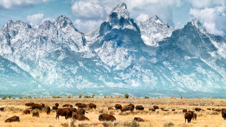 As National Park Service Turns 100, We Can Celebrate By Not Bothering ...