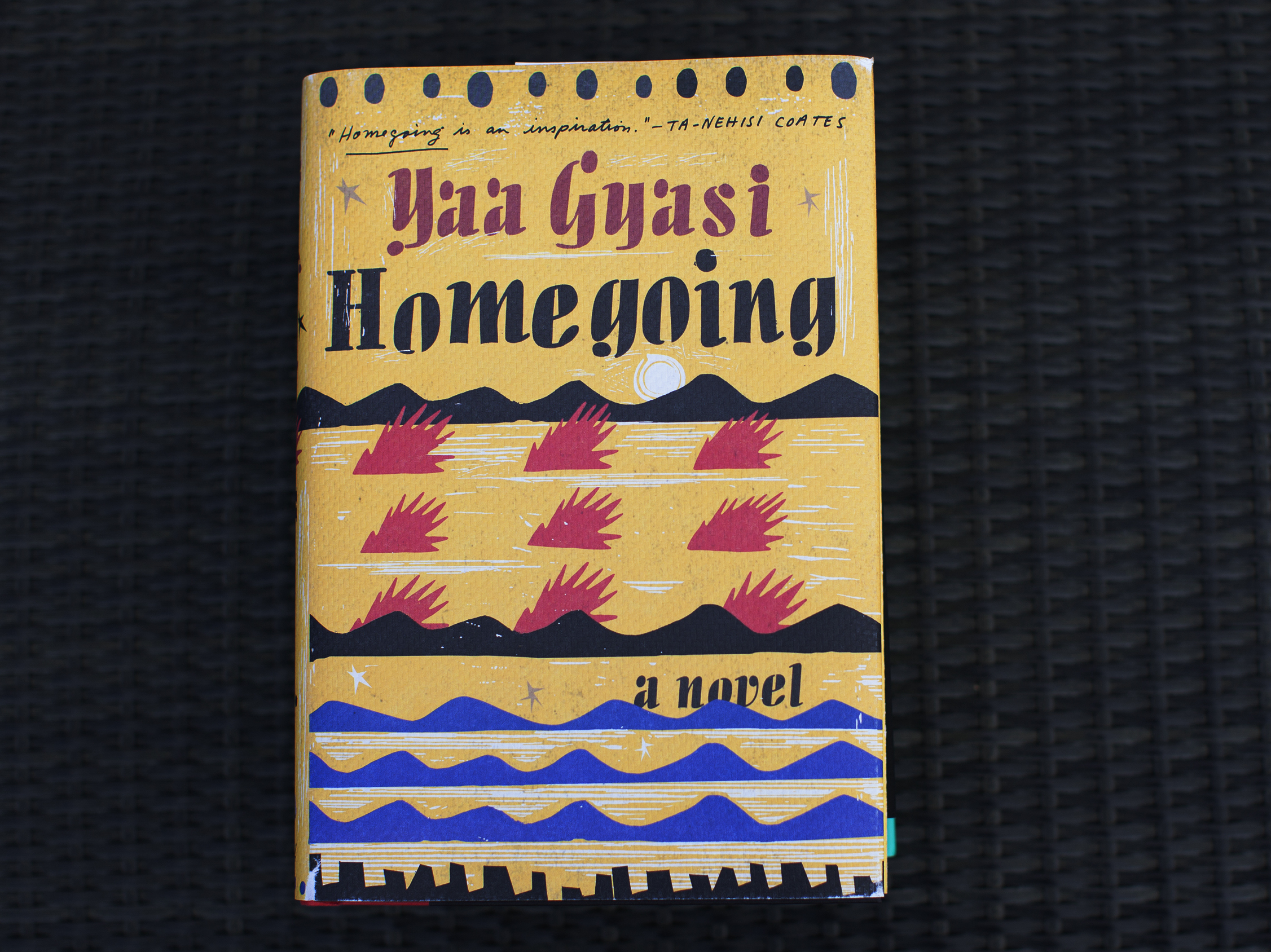 In 'Homegoing,' A Saga Of A Family United By Blood, Separated By ...