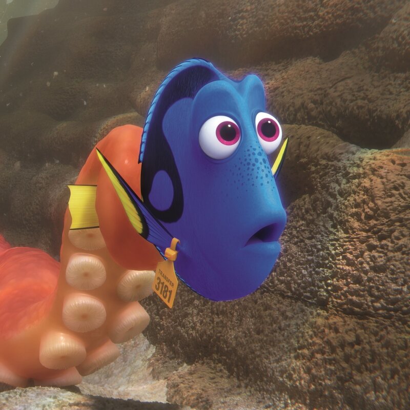 Dory Fish Just Keep Swimming