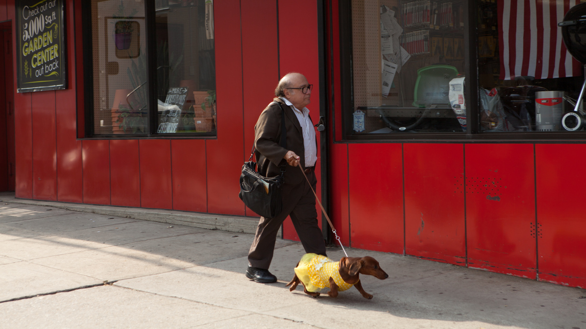 Solondz's 'Wiener-Dog': A Cute Pooch Sets Out On A Picaresque Tour Of ...