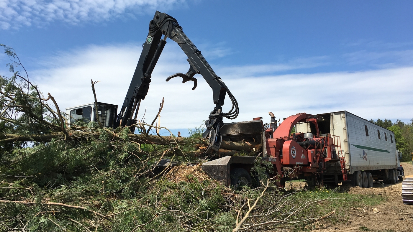 Is Burning Trees Still Green? Some Experts Now Question Biomass : NPR