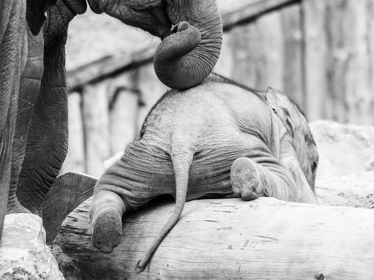 Richard Thaler: What Is A Nudge? : NPR