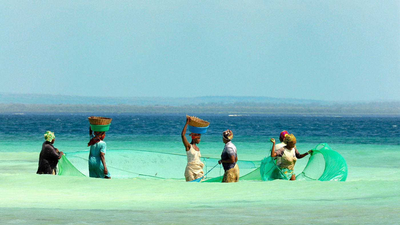 1 In 10 People May Face Malnutrition As Fish Catches Decline : The Salt ...