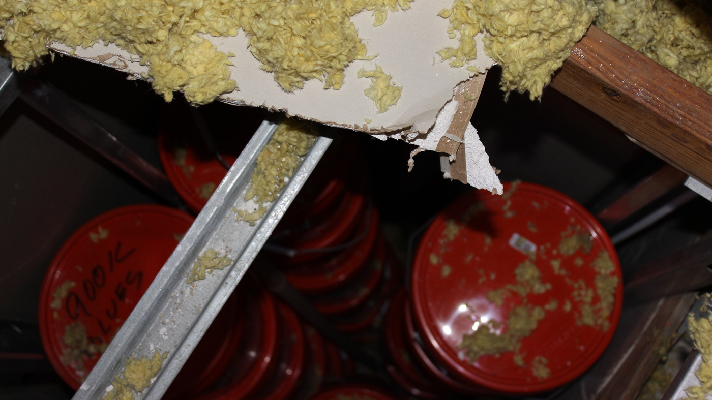 During A Drug Bust, Miami Police Find Some $20 Million Stuffed In ...