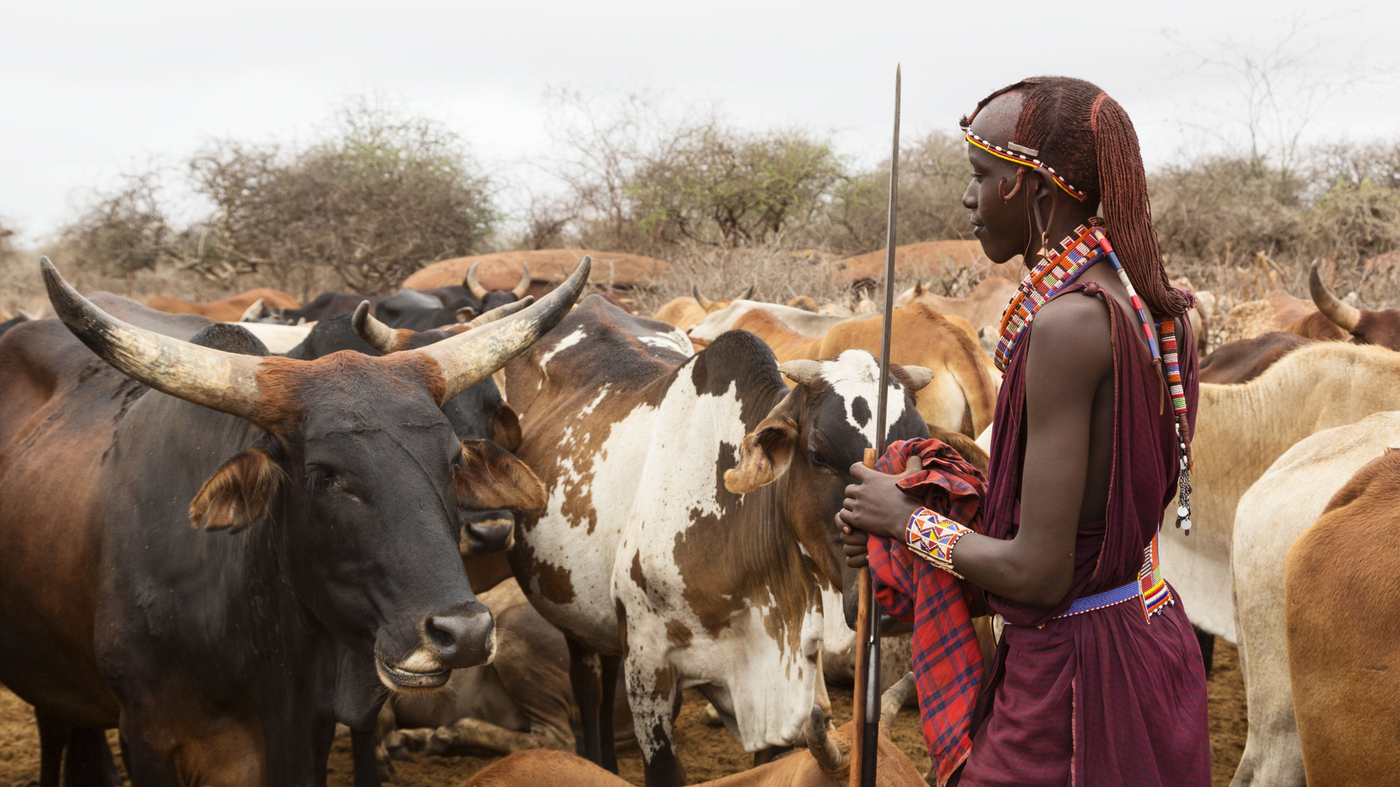 The Everyday Objects Of A Nomadic People Are Transformed Into Art ...