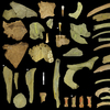 Were Neanderthals Religious? : 13.7: Cosmos And Culture : NPR