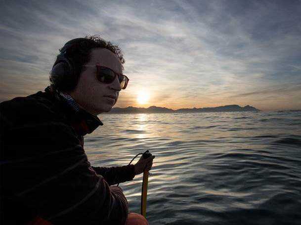 A Marine Ecologist On Swimming With Sharks And What 'Jaws' Got Wrong : NPR