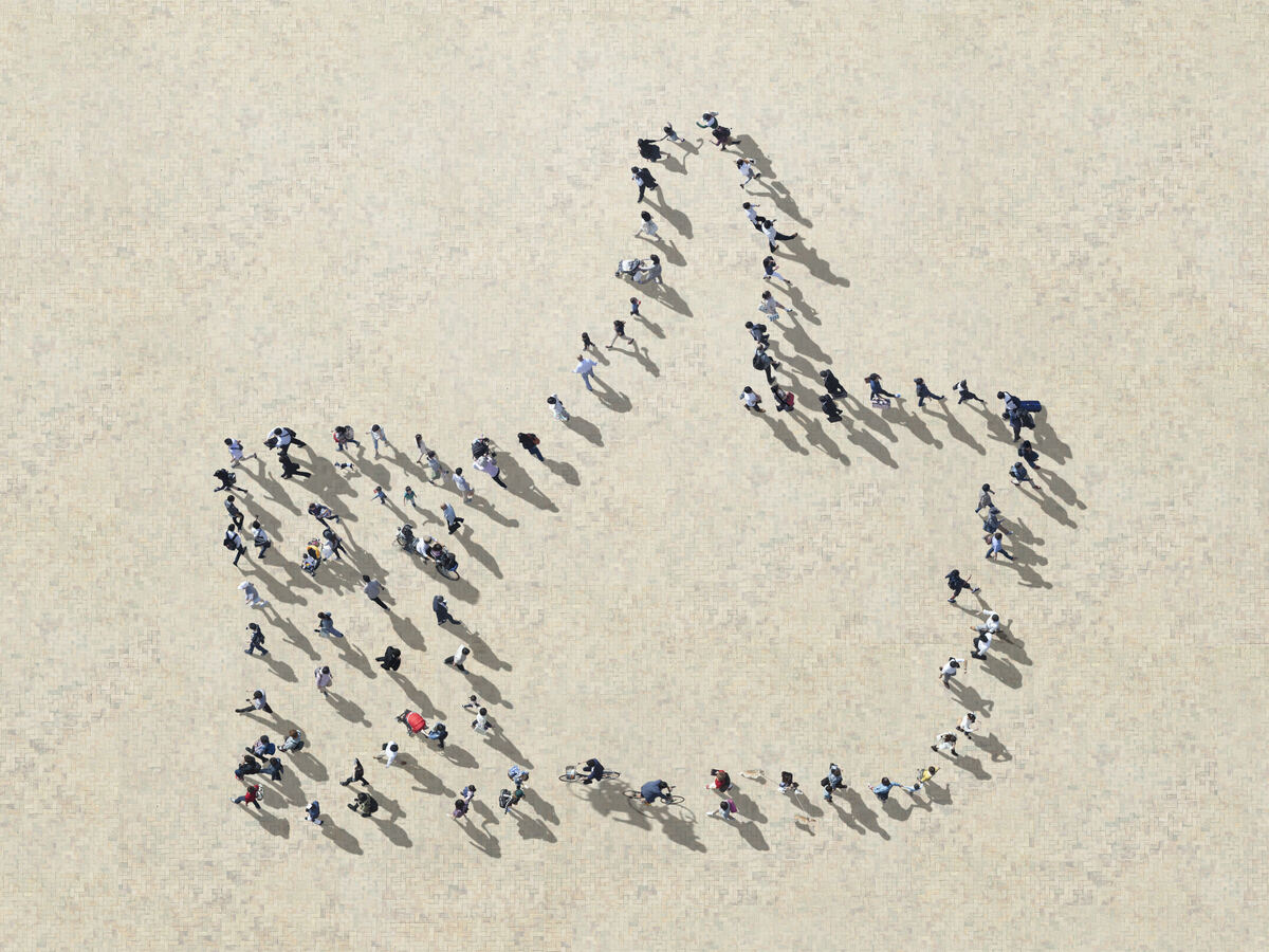 The Reason Your Feed Became An Echo Chamber — And What To Do About It ...