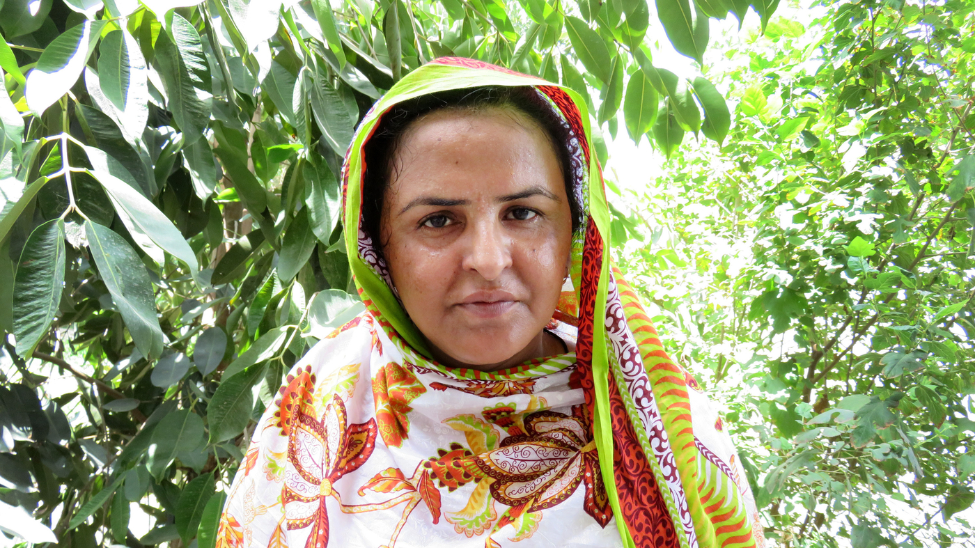 In Pakistan's Heartland, A 'Perfect Storm Of Obstacles' To Protecting ...