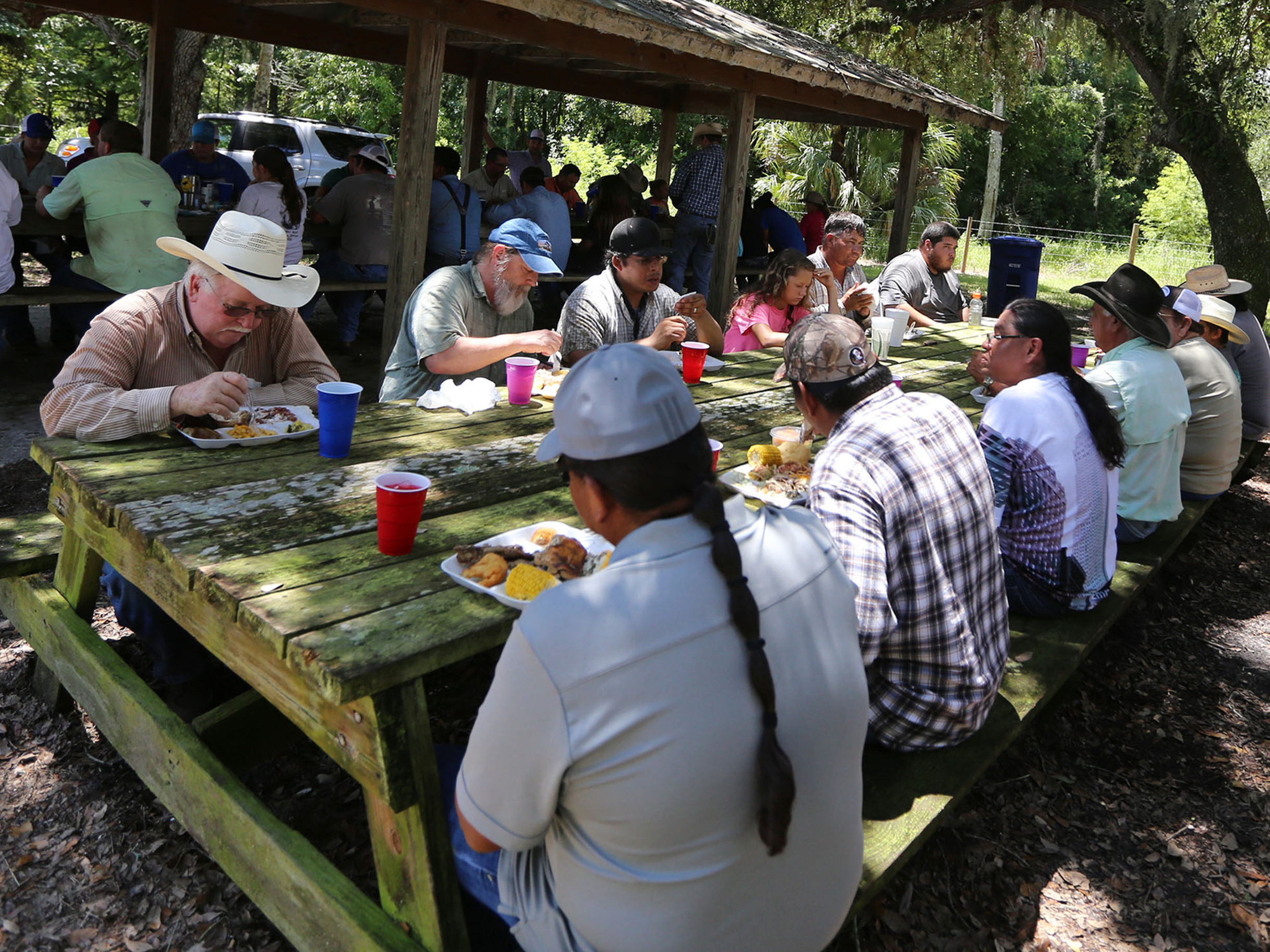 South Florida's Seminole Cowboys: Cattle Is 'In Our DNA' | NCPR News