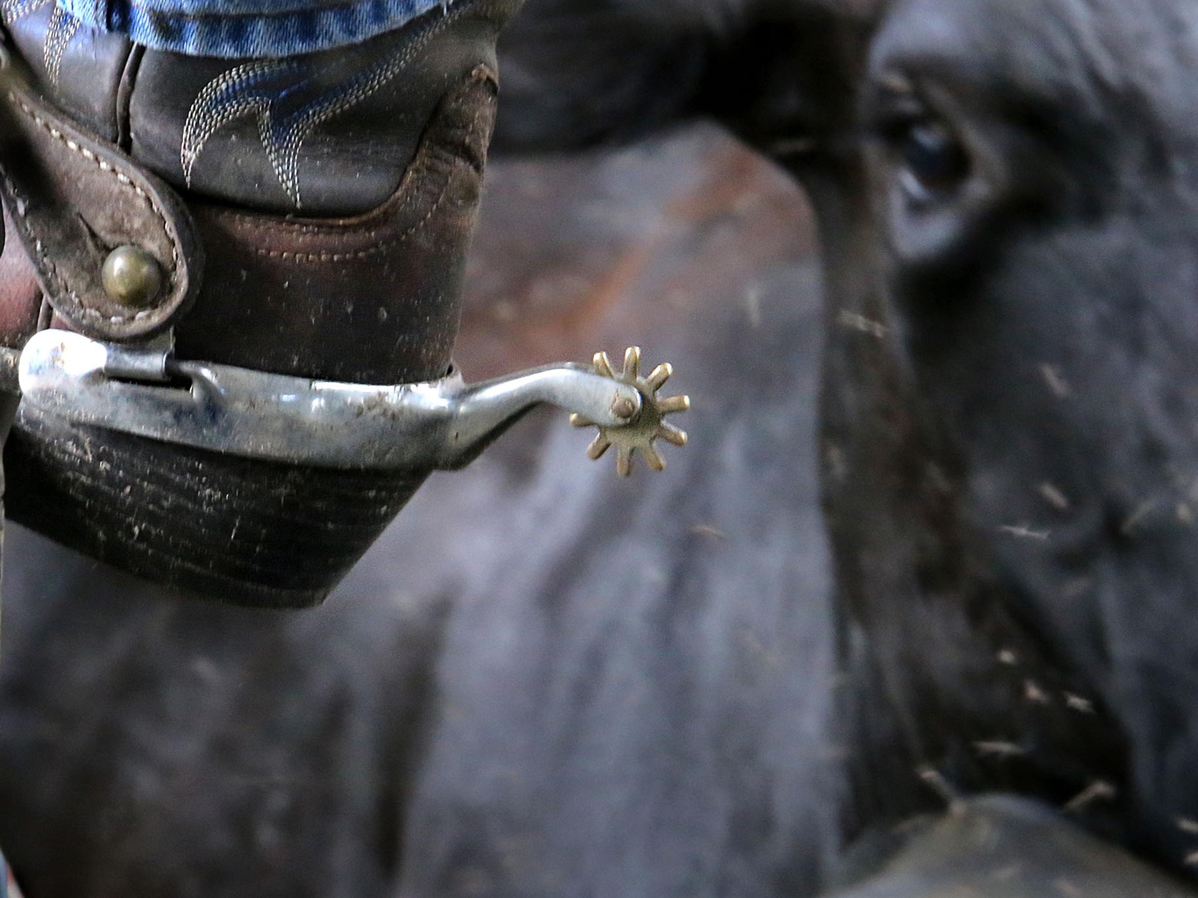 South Florida's Seminole Cowboys: Cattle Is 'In Our DNA' | WBUR