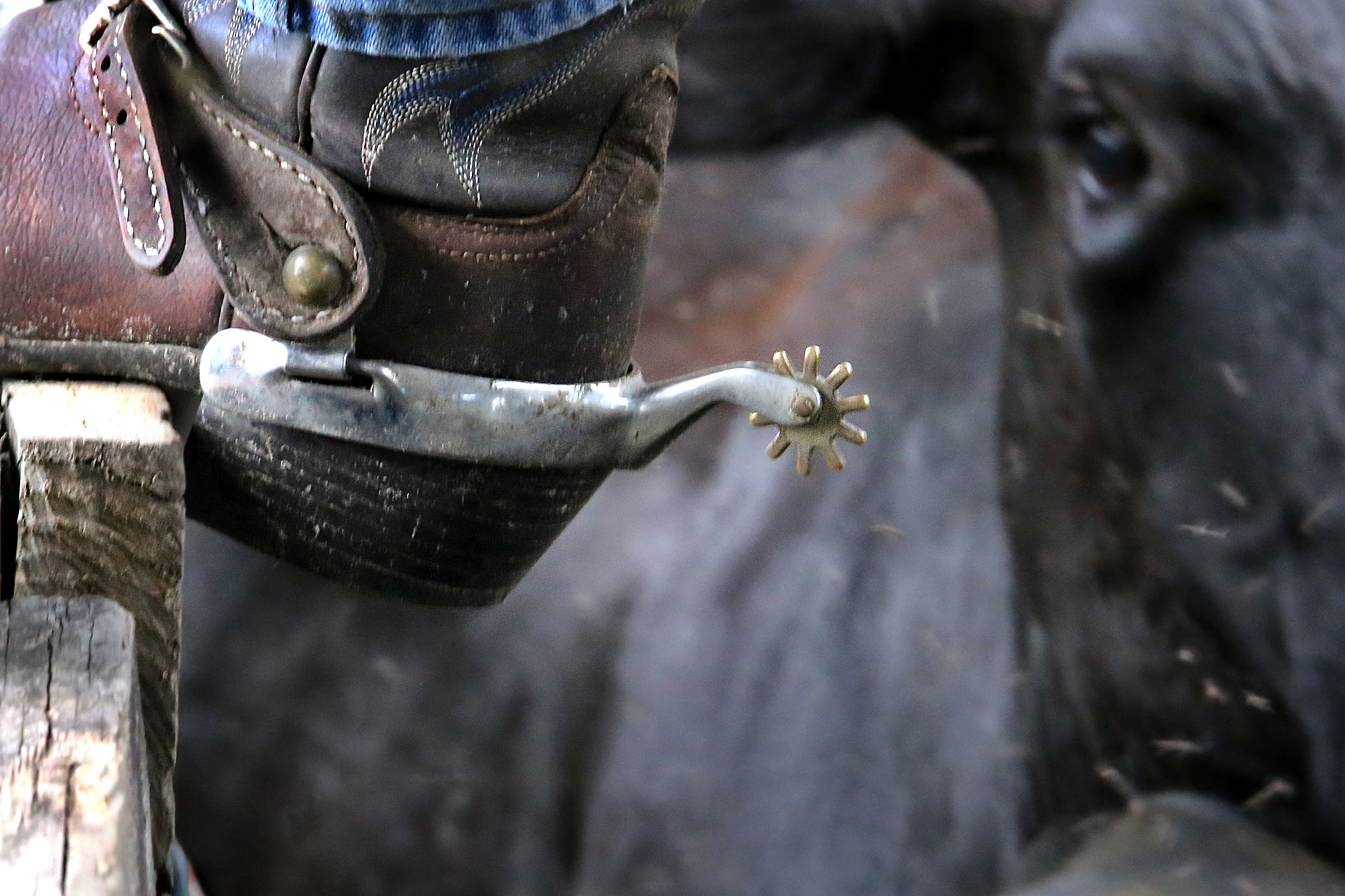 South Florida's Seminole Cowboys: Cattle Is 'In Our DNA' | NPR ...
