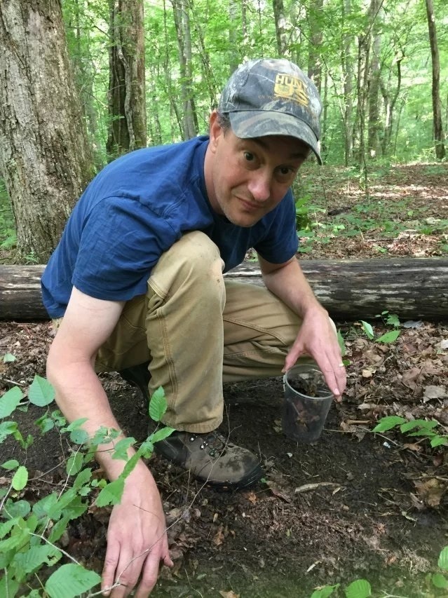 How William The Worm Got Himself Into A Pickle #NPRWormWeek | WBUR News