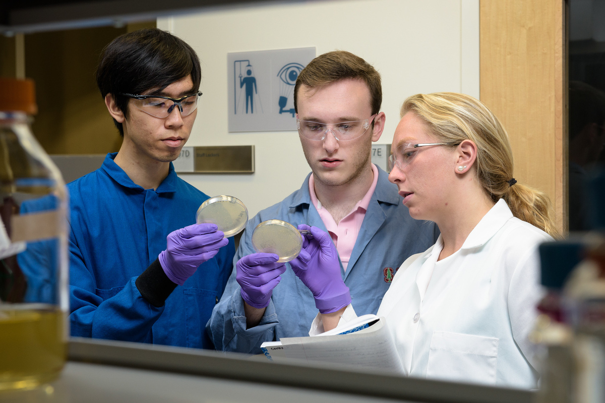 Young Inventors Work On Secret Proteins To Thwart Antibiotic-Resistant ...