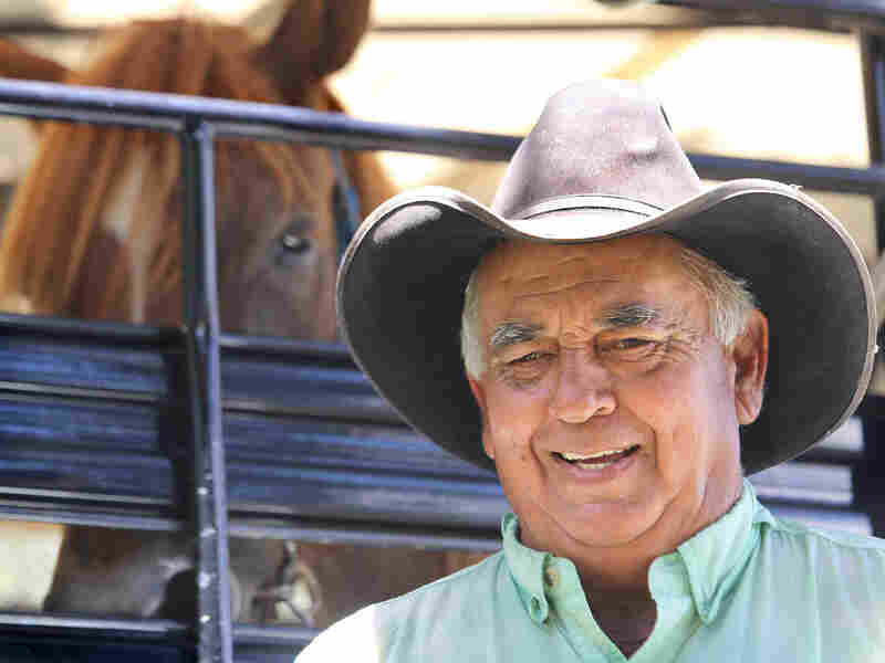 South Florida's Seminole Cowboys: Cattle Is 'In Our DNA' : Code Switch ...
