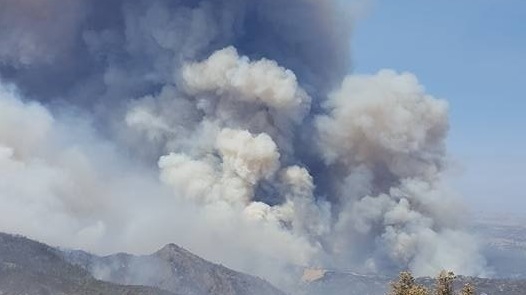 California Firefighters Contain Blue Cut Fire, Grapple With Other ...