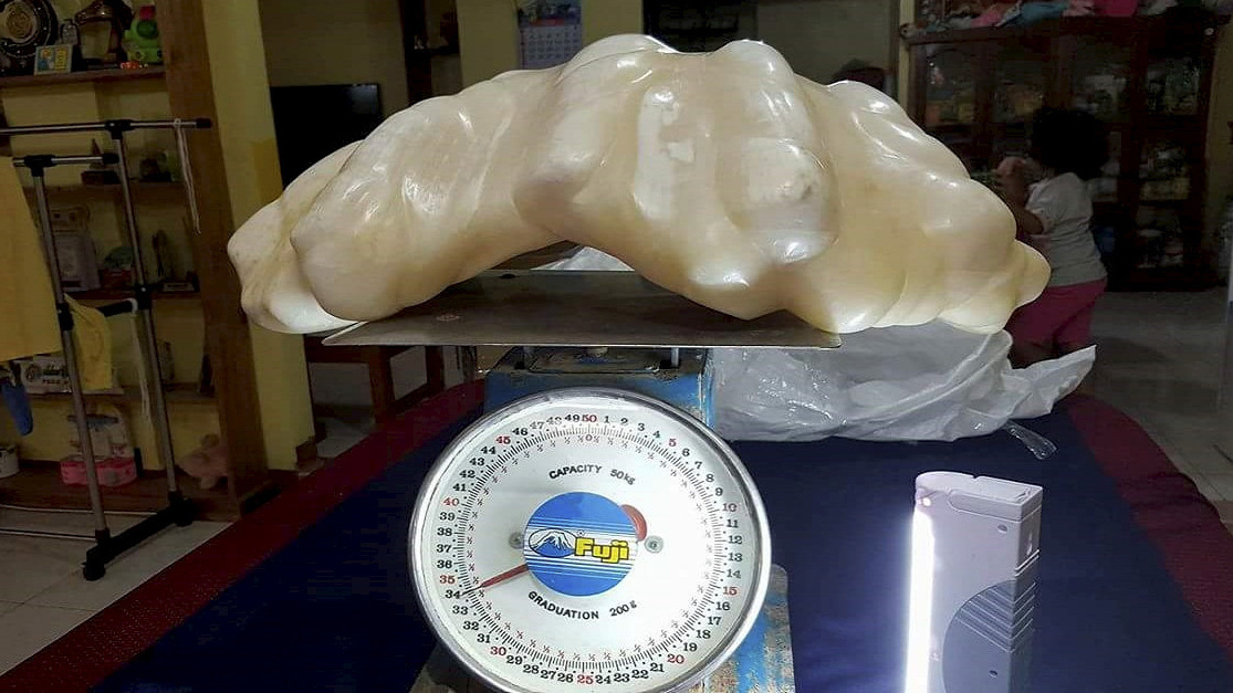 Filipino Fisherman Reveals 75-Pound Pearl He Kept Hidden For A Decade ...