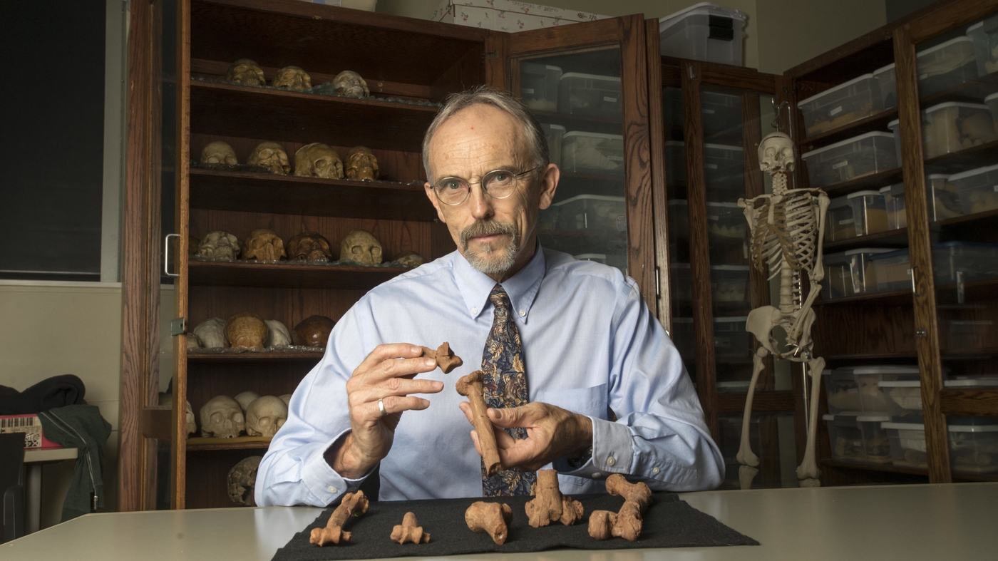 Scientists Divided Over How Lucy Died : The Two-Way : NPR