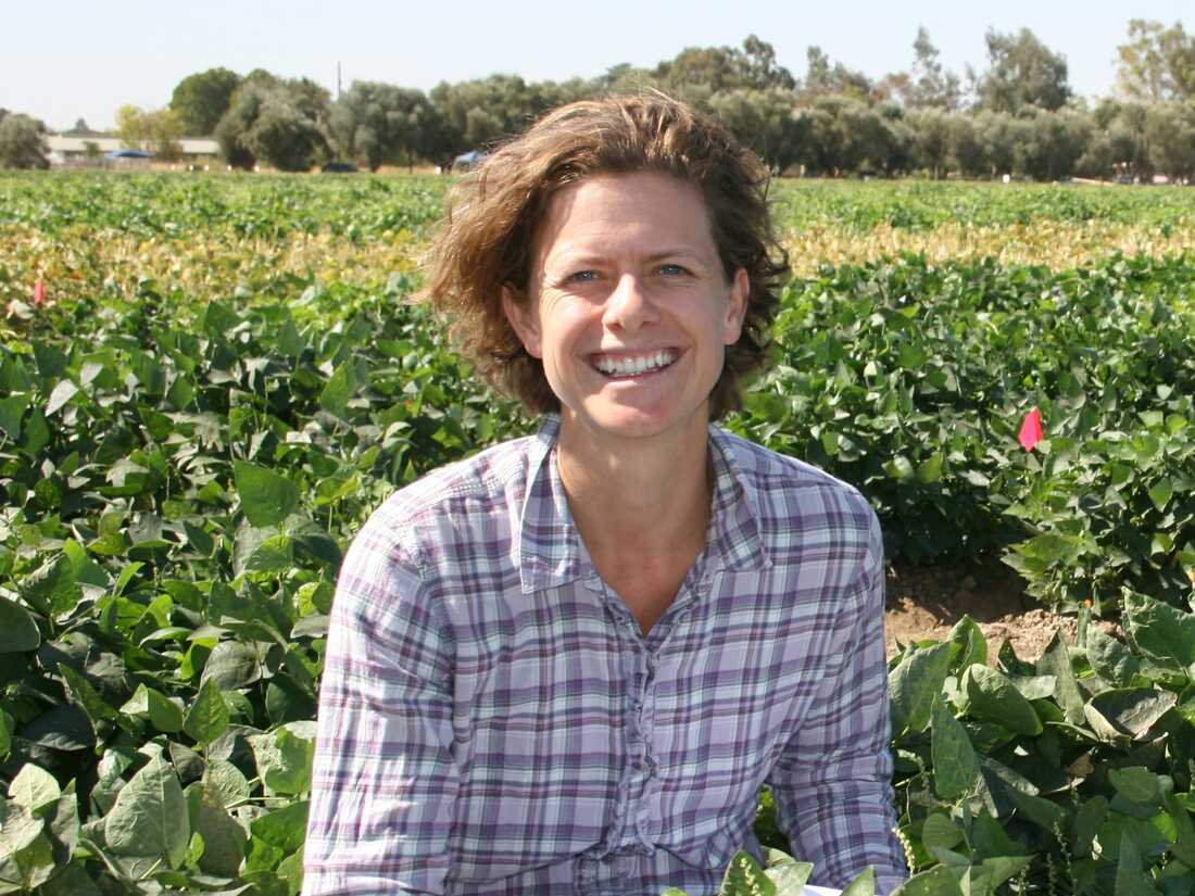 FOJBI Friday: Sarah Dohle, The 'Lima Bean Queen' : NPR