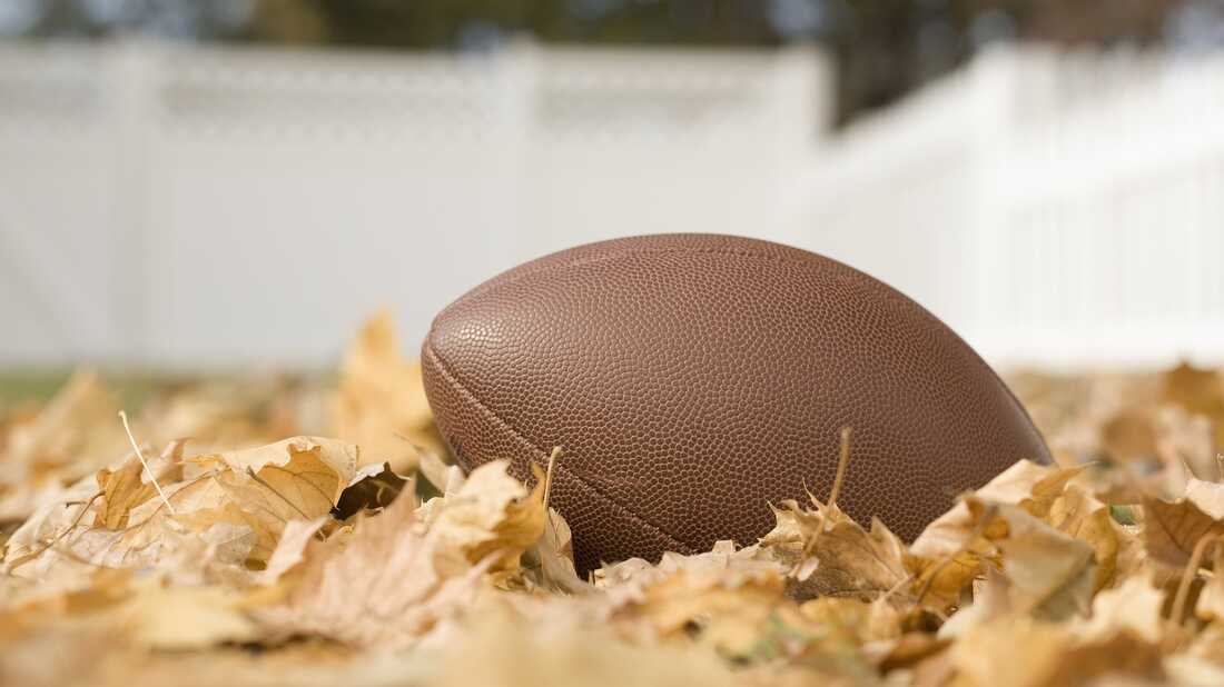 Off The Campaign Trail, Onto The Gridiron: 5 Sports Books For Fall : NPR