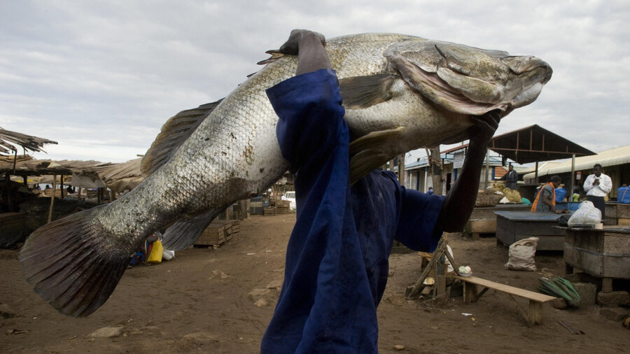 Evolution of Uganda’s Economy and the Road to Middle Income Status ...