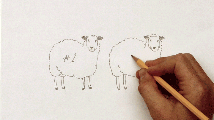 How Pencils Are Made : NPR Ed : NPR