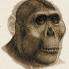Were Neanderthals Religious? : 13.7: Cosmos And Culture : NPR