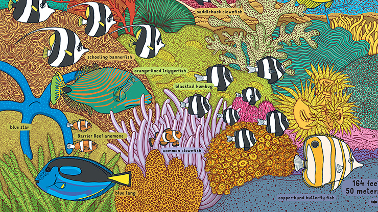 Science Literacy: A New Book On Earth And Ocean Science For Kids : 13.7 ...