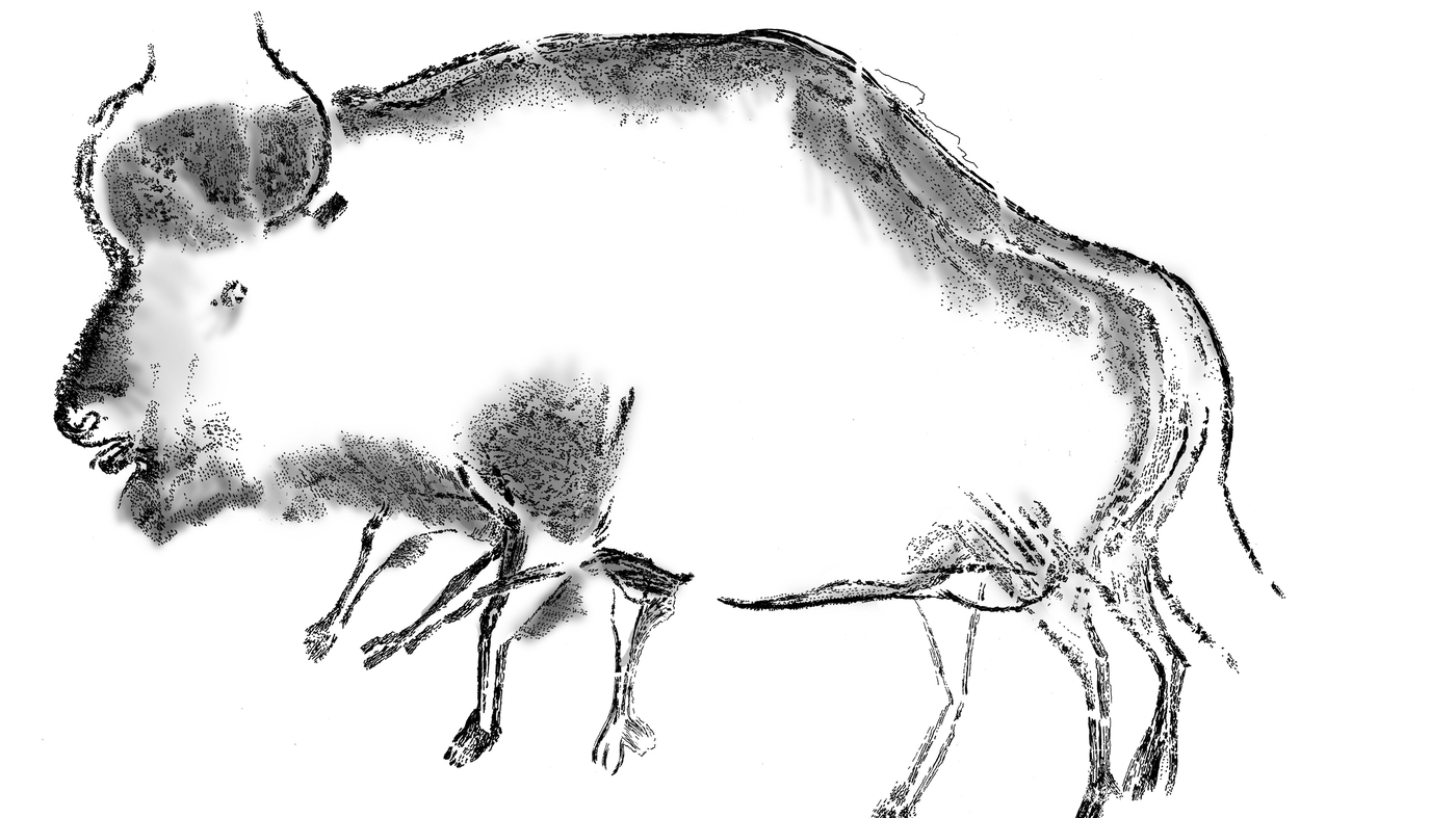 'Higgs Bison' Is The Missing Link In European Bison Ancestral Tree ...