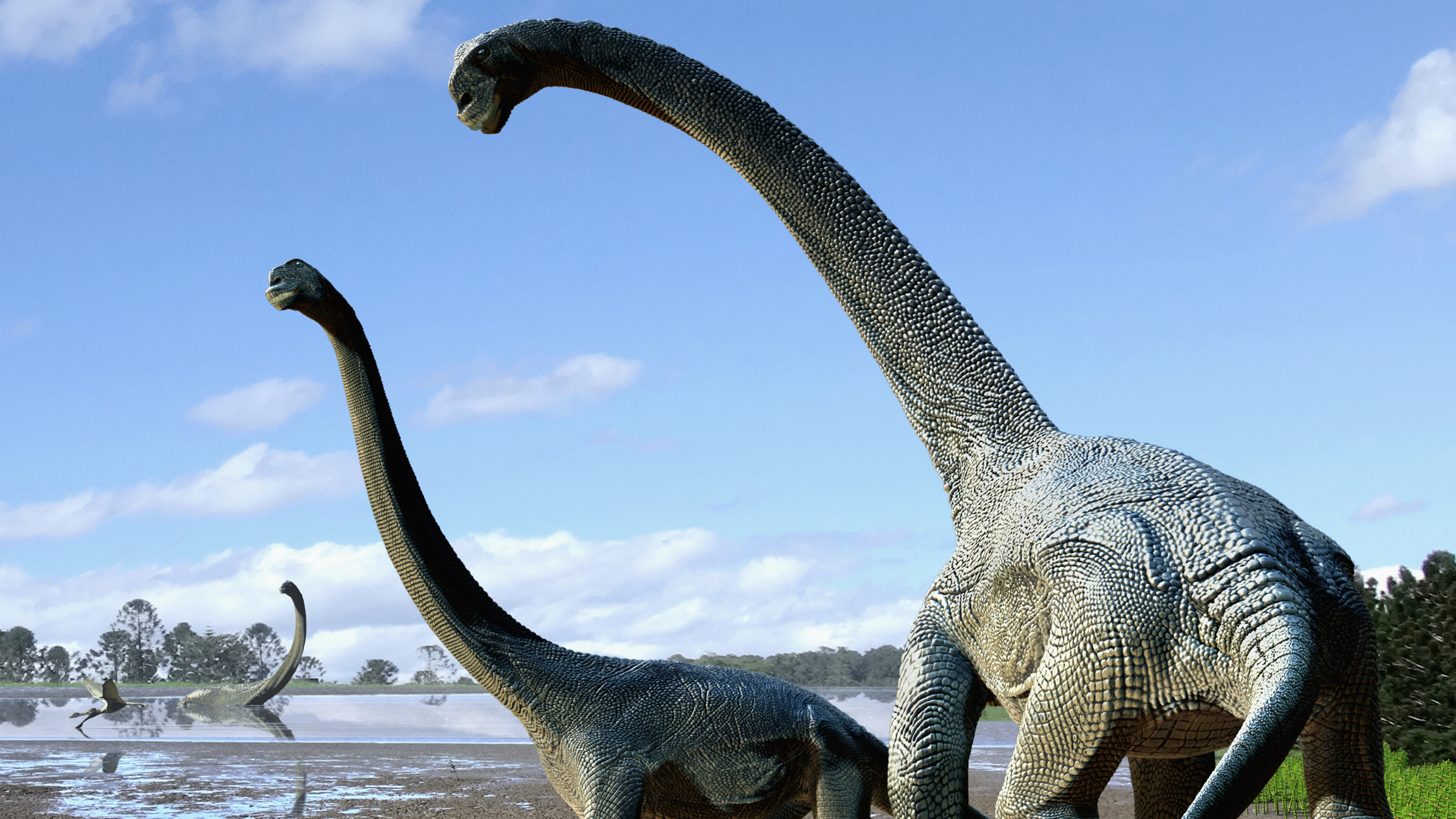 Dinosaurs Down Under May Help Explain Prehistoric Migrations : The Two ...