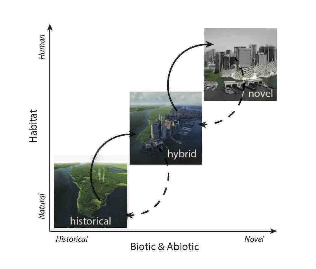 Can We Build Cities That Think Like A Planet? | NCPR News