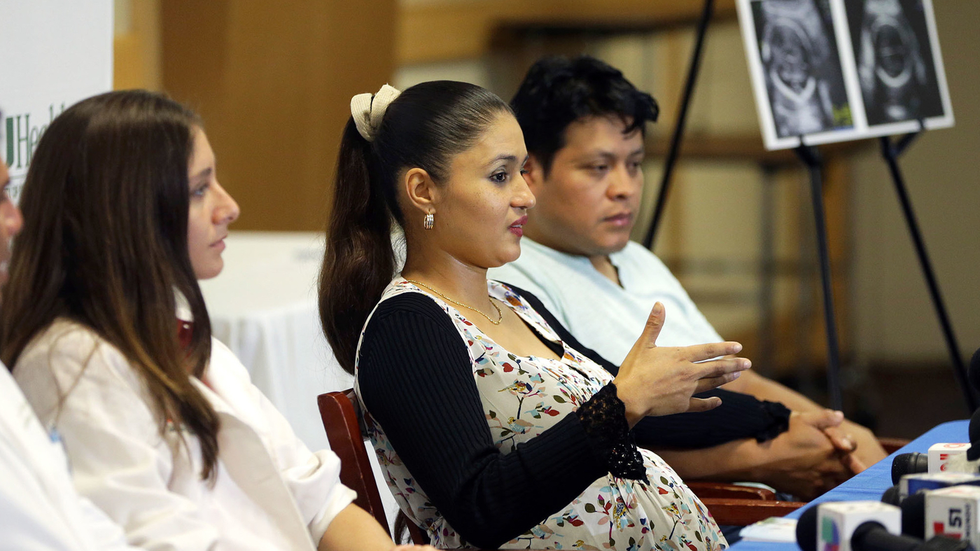 Zika May Be In The U.S. To Stay : Shots - Health News : NPR