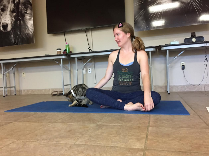 Cat Yoga: A Pretty Purrfect Way To Relax : NPR