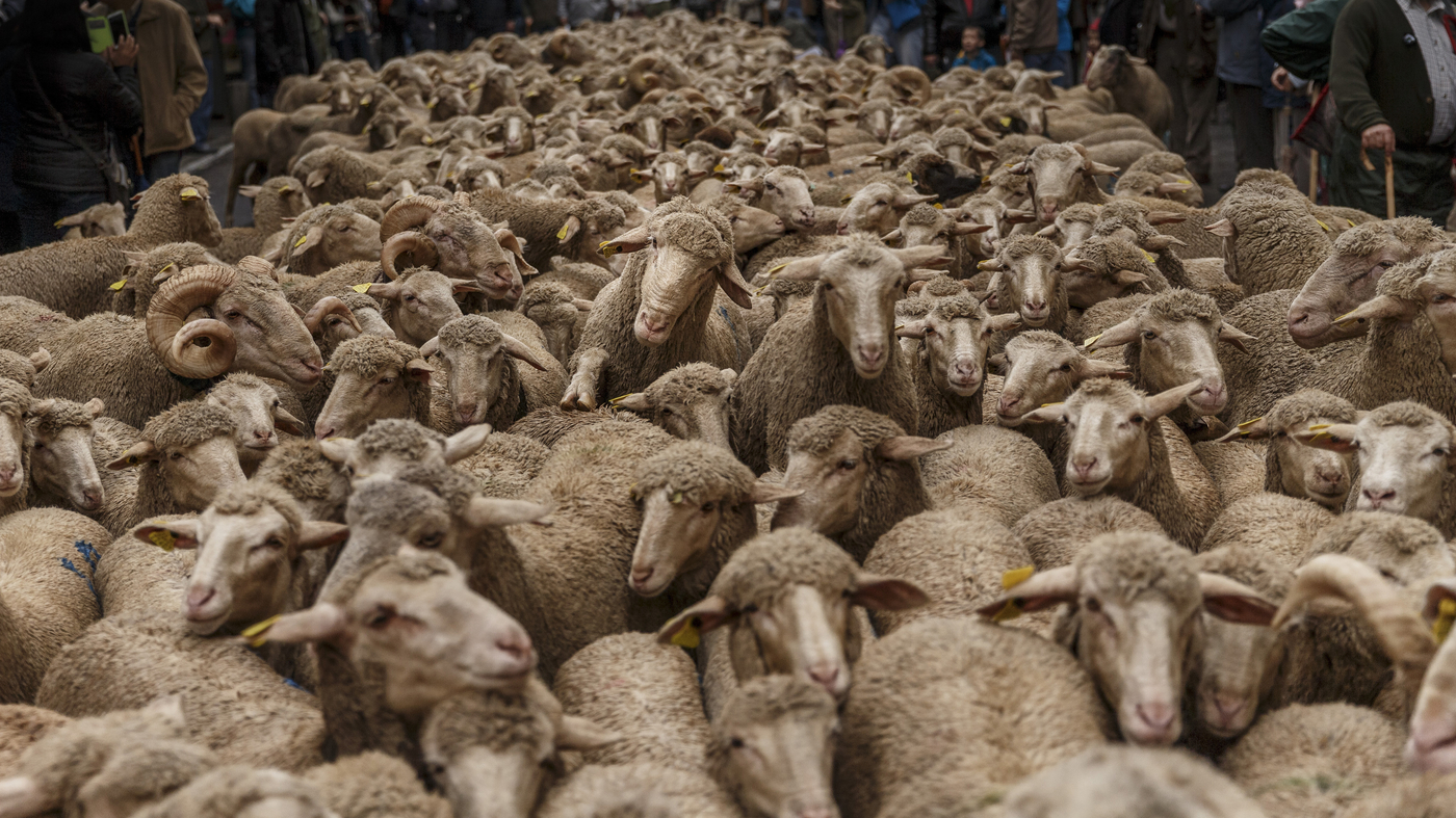 How Some States Vote Can Be A Good Predictor Of The Election Results : NPR