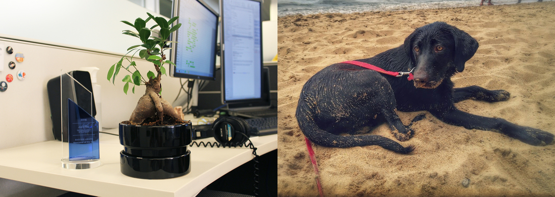 Faces Of NPR: Joe Chau : NPR Extra : NPR