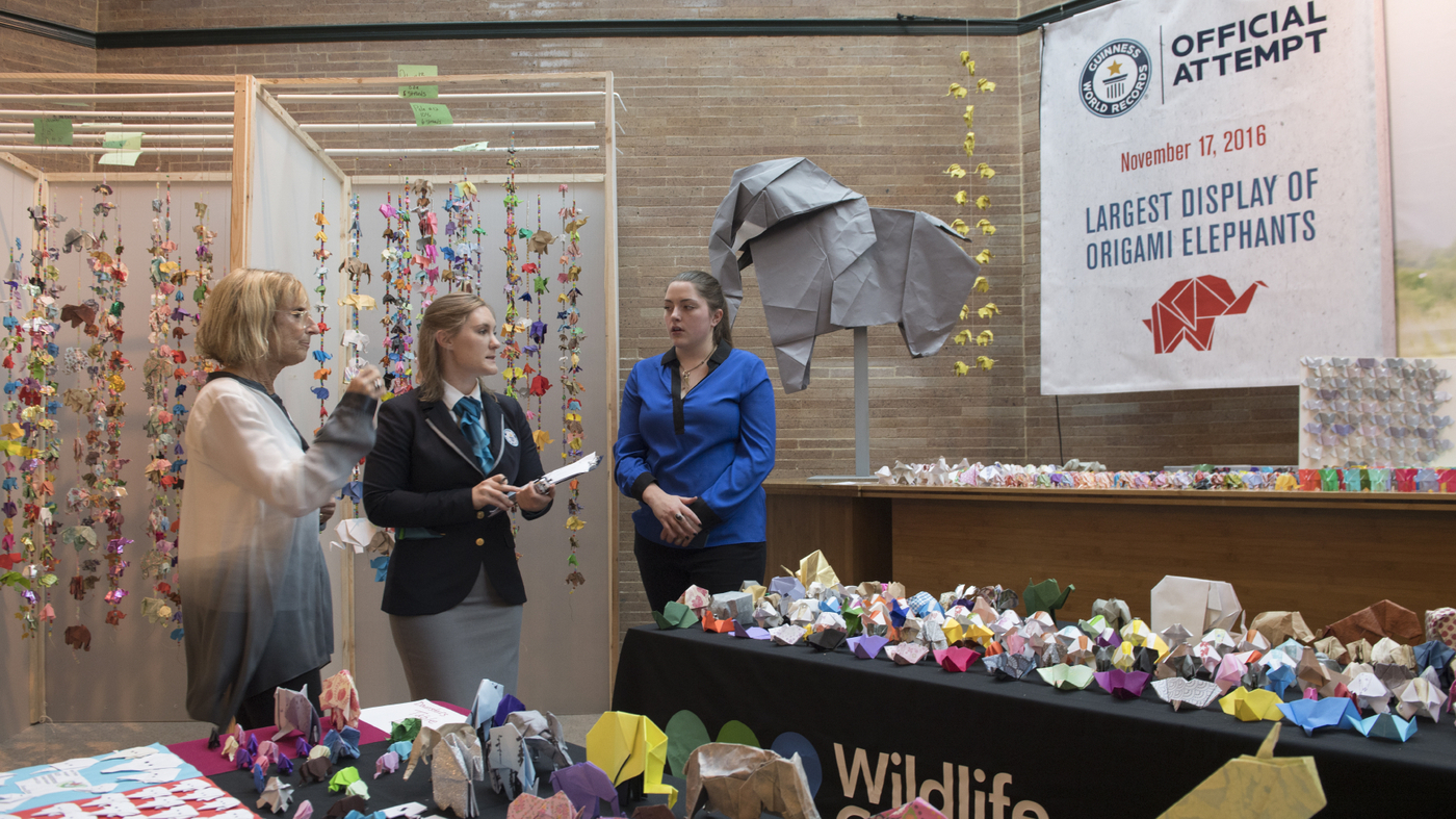 Bronx Zoo Breaks World Record For Largest Display Of Origami Elephants ...
