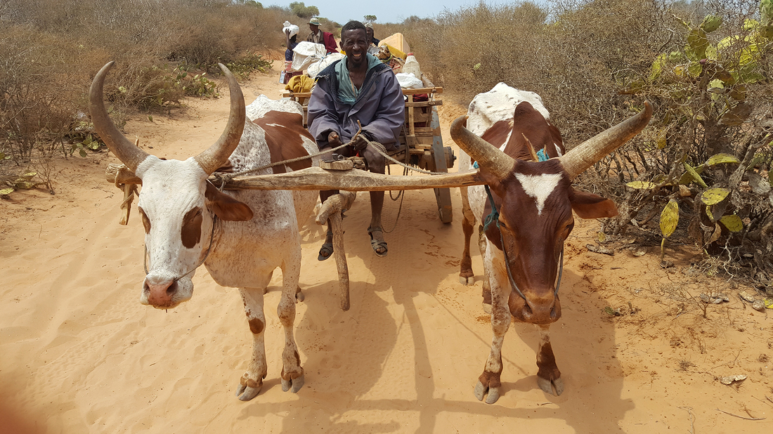 Southern Madagascar On The Edge Of Famine Amid Drought : The Salt : NPR