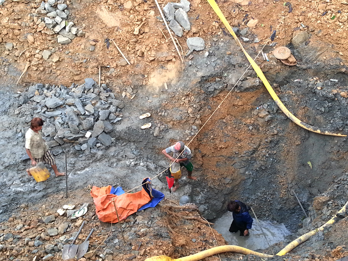 Baby Dinosaur's 99 Million-Year-Old Tail, Encased In Amber, Surfaces In ...